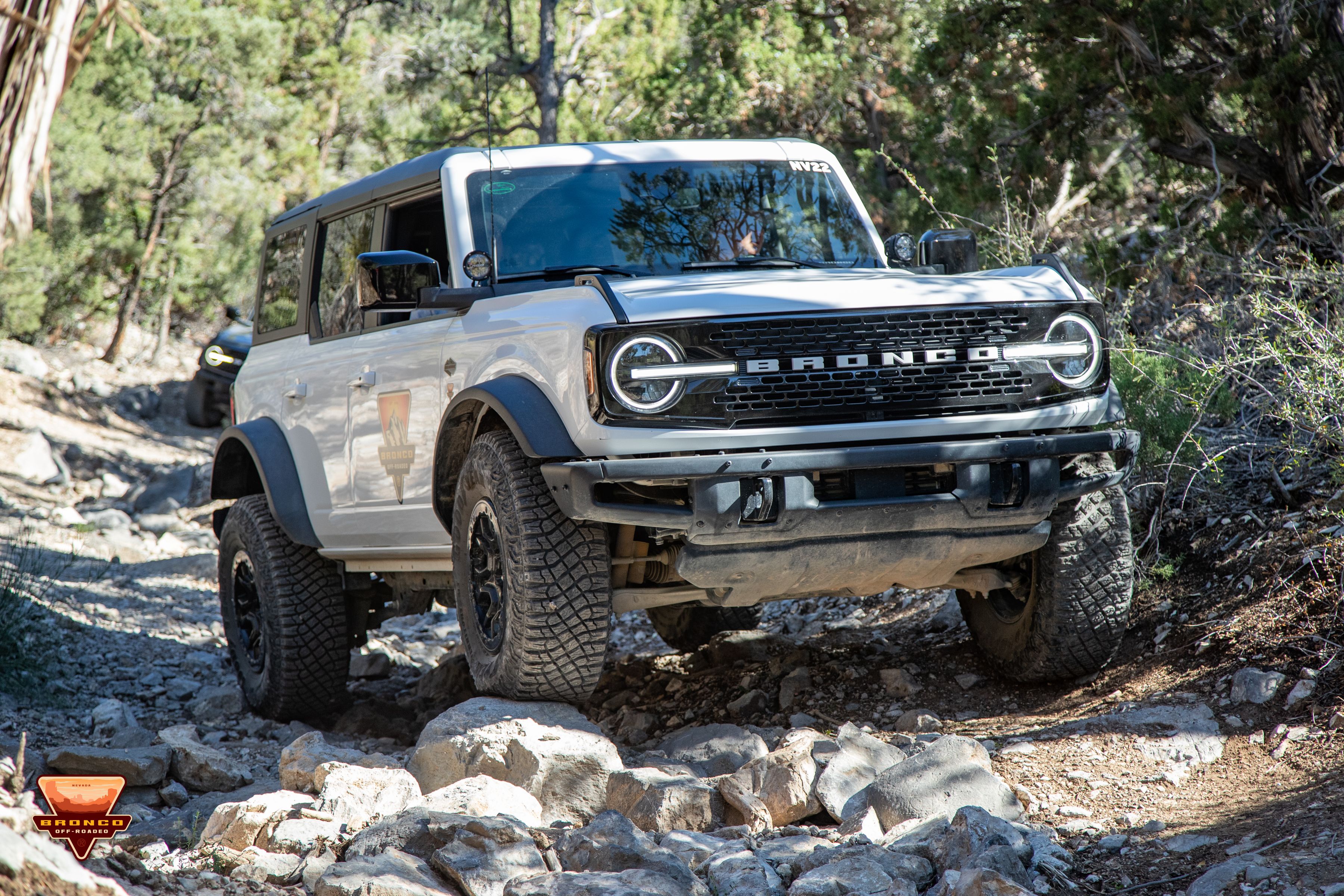 Newbie - Bronco Nation