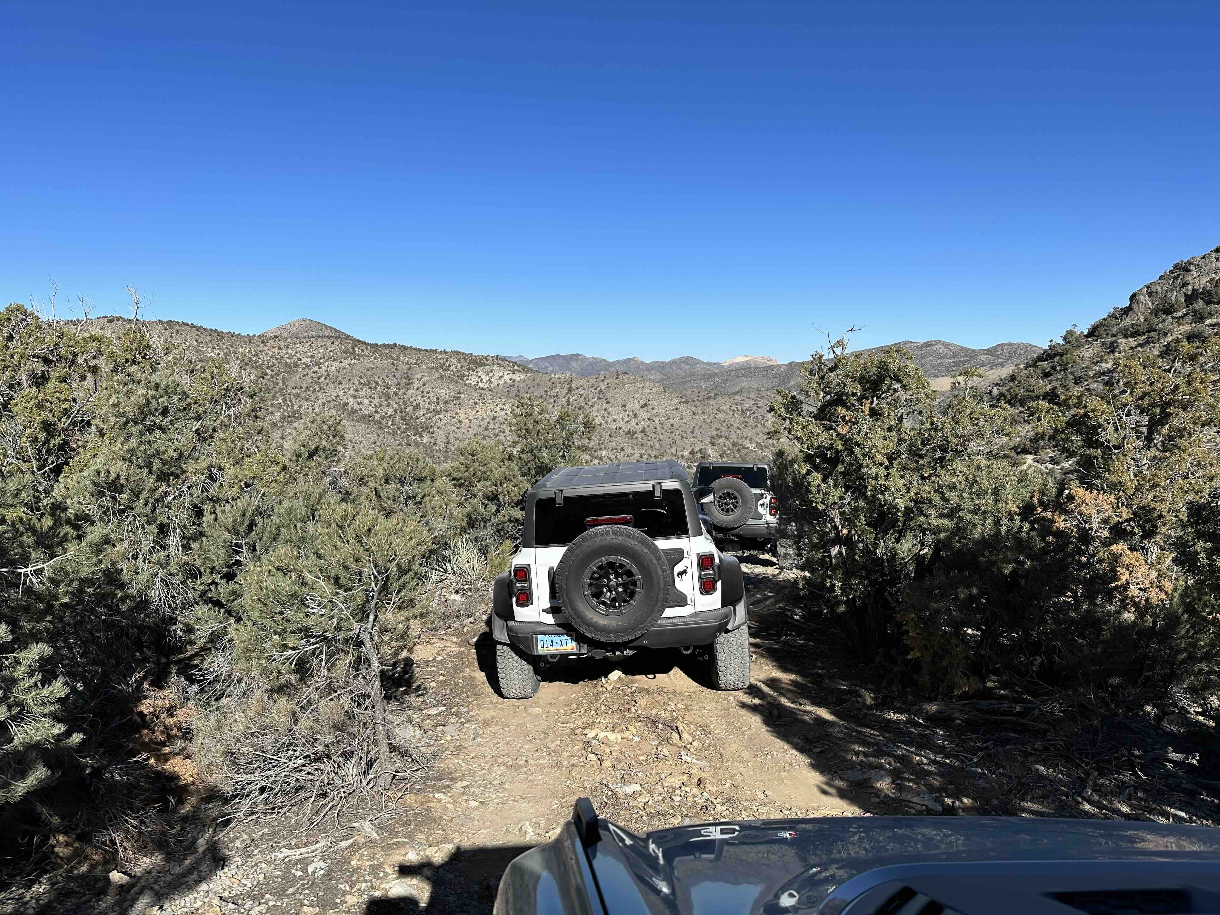 Raptor Off Rodeo Las Vegas - Bronco Nation