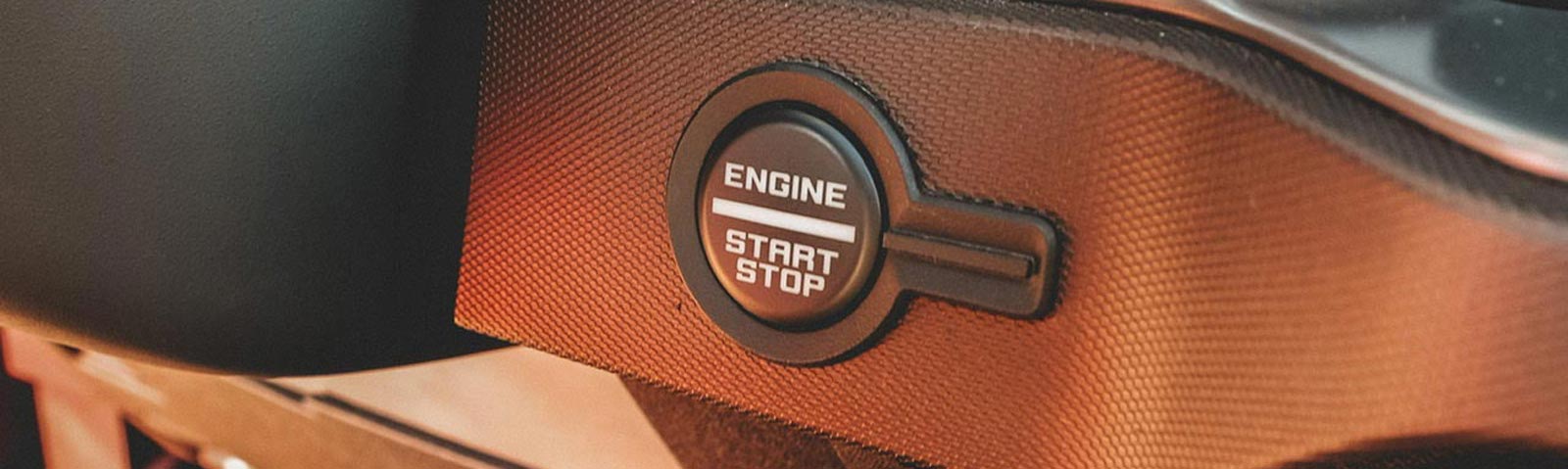 Bronco Easter Eggs with Utah Bronco - Bronco Nation