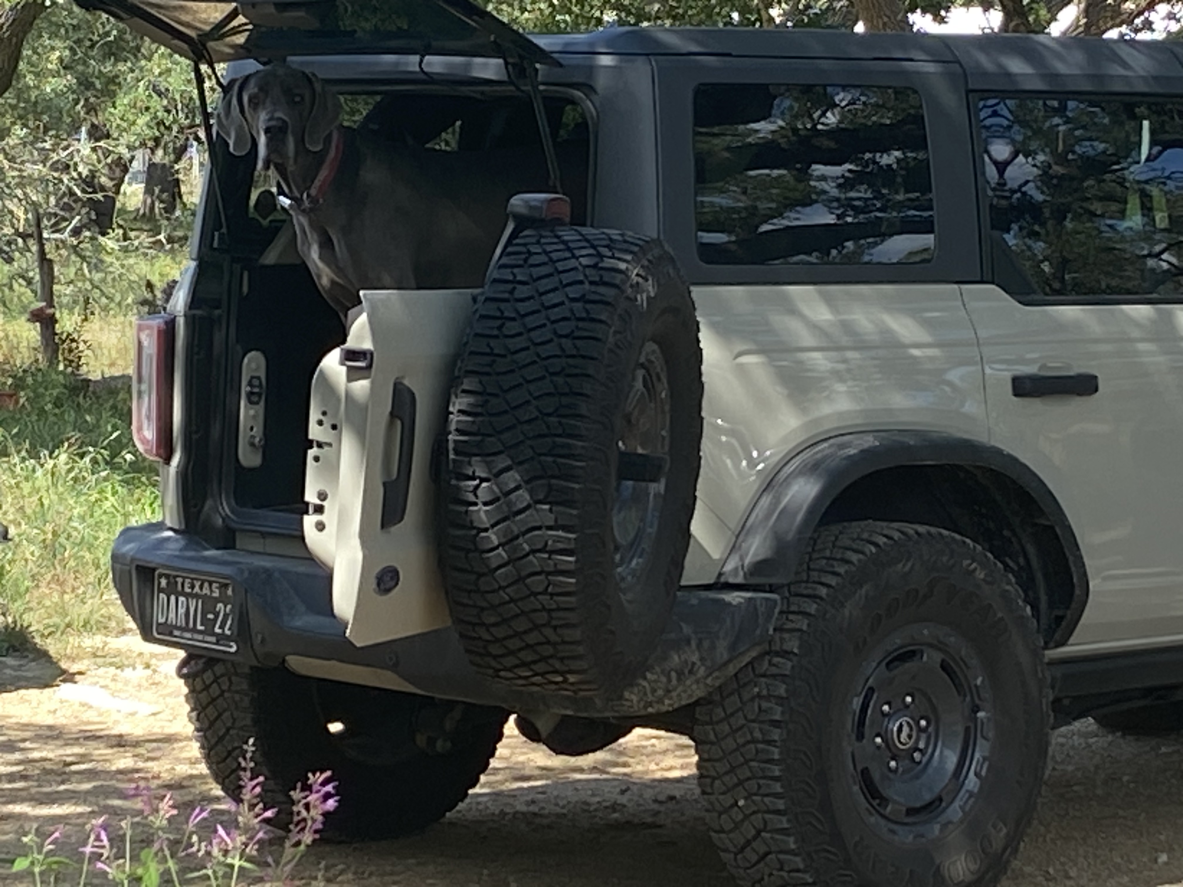 Darryl has left Texas! - Bronco Nation