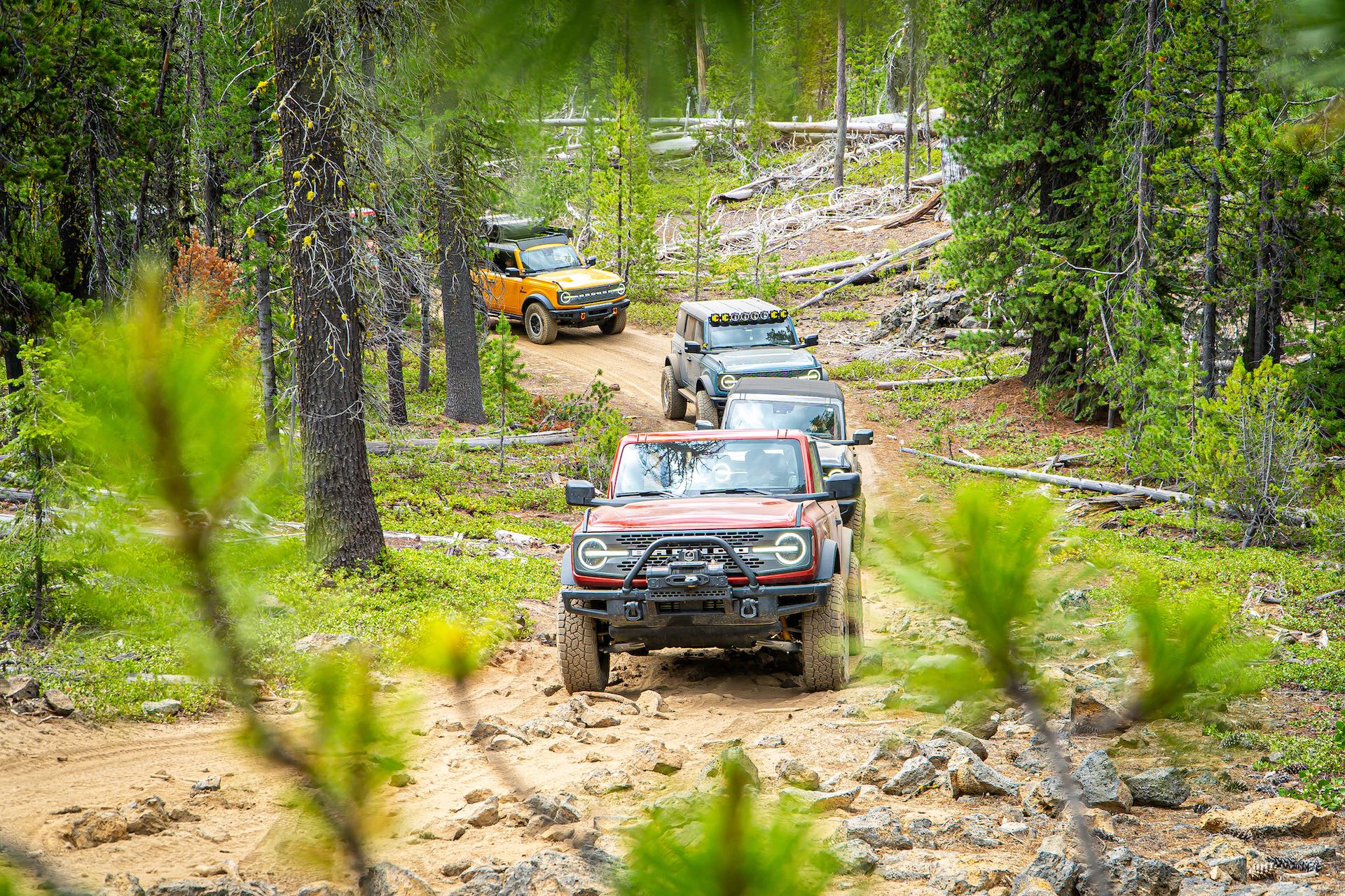 Bronco Fun in 2025: Popular Events to Consider Attending - Bronco Nation