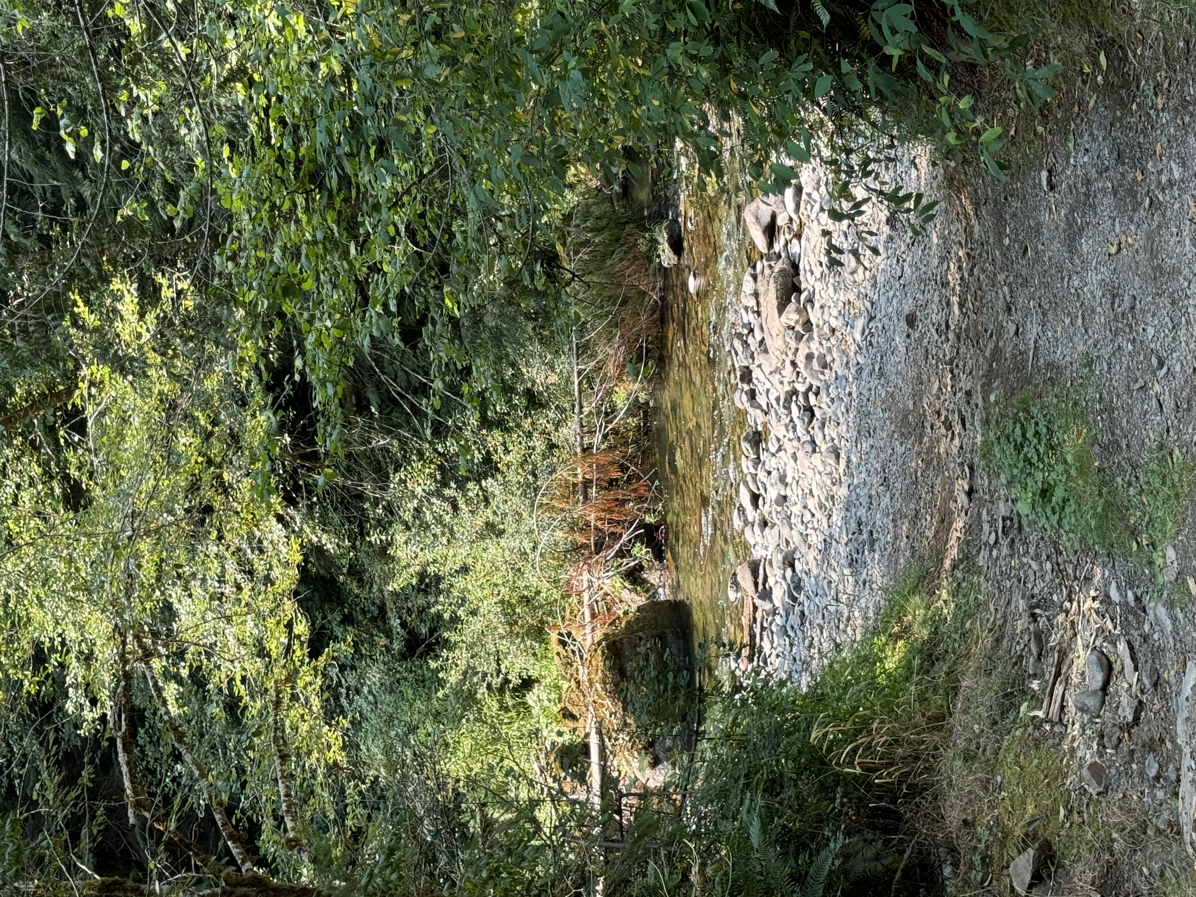 A day of trail mapping and pucker factor maxed on one trail! (long post ...