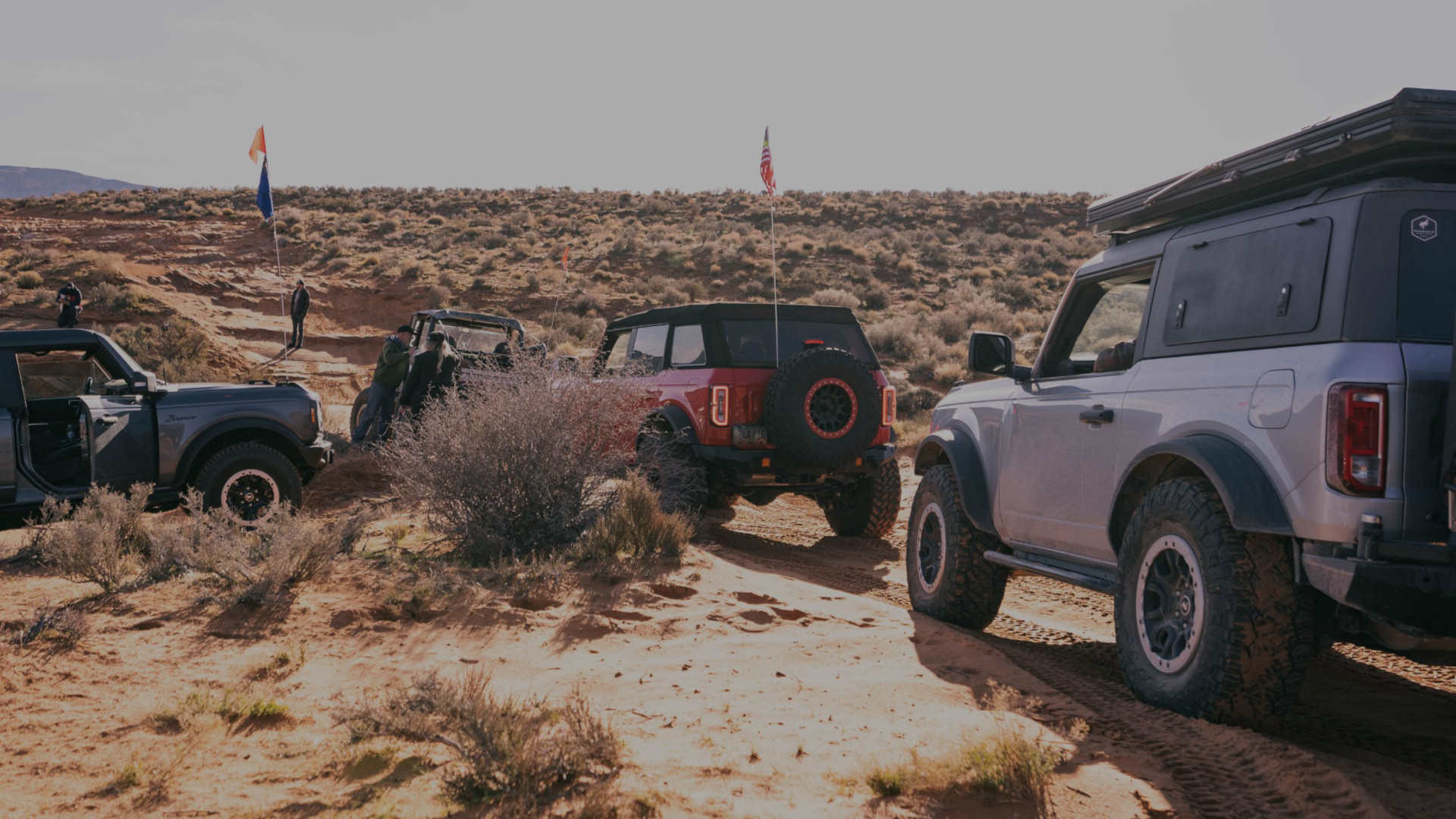 United By Bronco 2025 - Bronco Nation