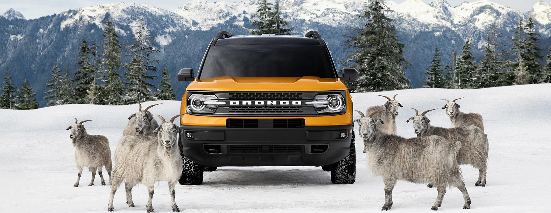 Bronco Sport: Raised by Goats - Bronco Nation