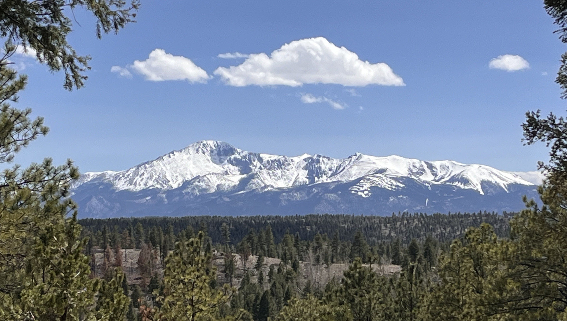 Join Us for a Bronco Sport Meet Up in Colorado - Bronco Nation